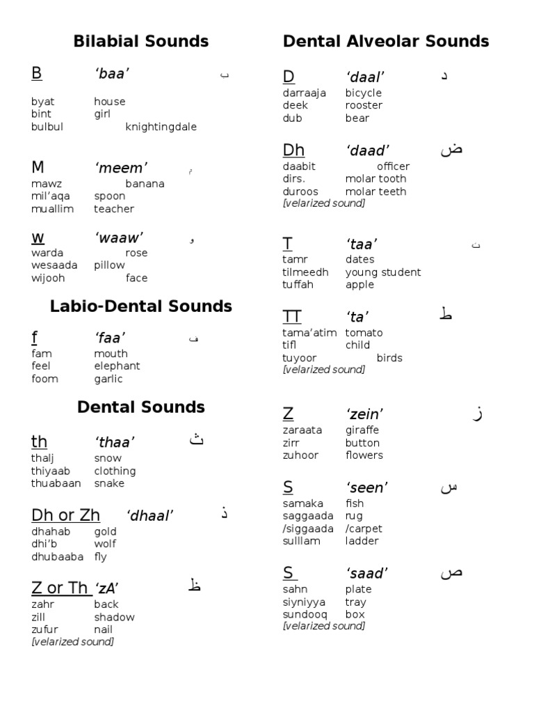 Bilabial Sounds Dental Alveolar Sounds: Baa' Daal' | PDF
