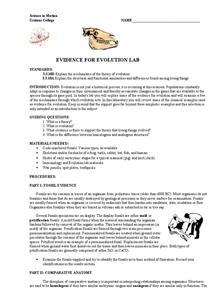 Evidence of Evolution | PDF | Evolution | Fossil