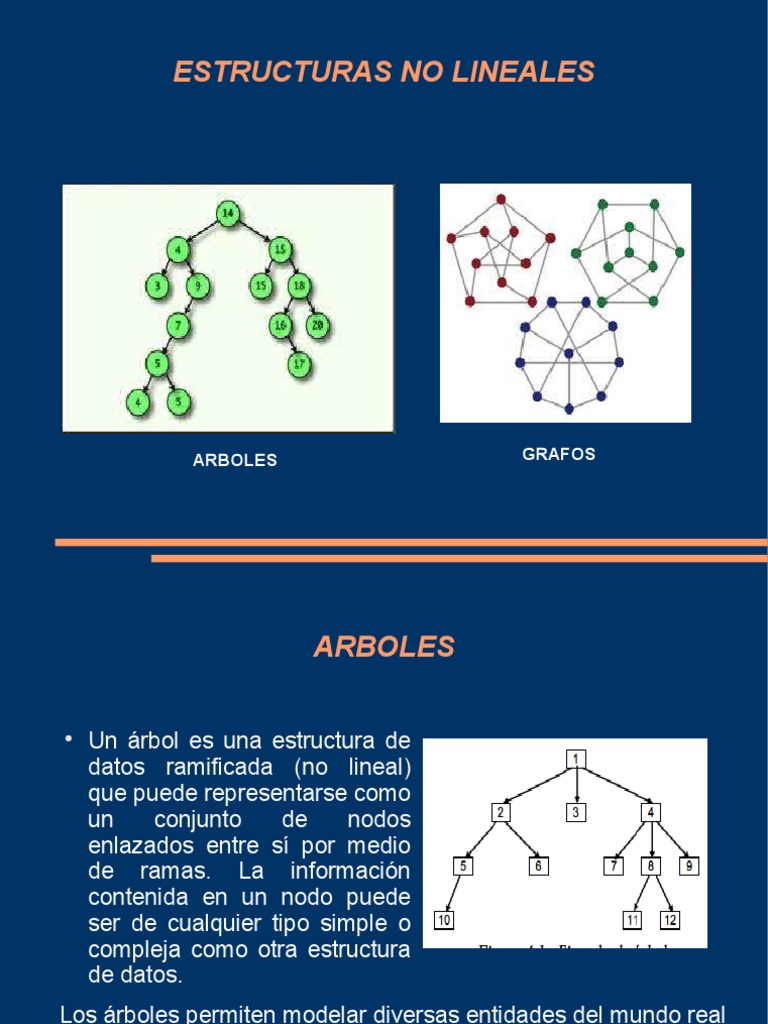 Estructuras No Lineales | PDF | Matemáticas Aplicadas | Informática teórica