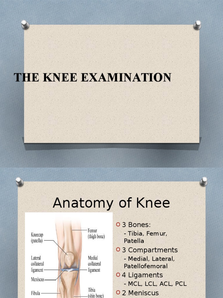 Knee Examination | Knee | Dance Science