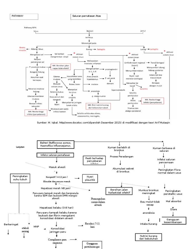 Pathway Ispa | PDF | Kesehatan Holistik
