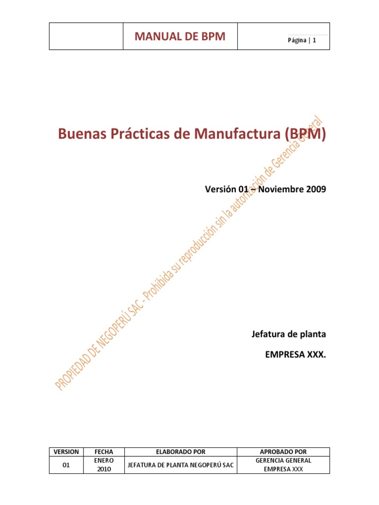 Modelo de Manual BPM | PDF | Análisis de Riesgo y Puntos Críticos de Control | Industria de ...