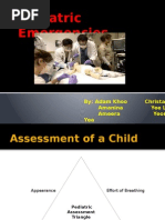 Meddata Critical Care Tool 2015 | PDF | Major Trauma | Thorax