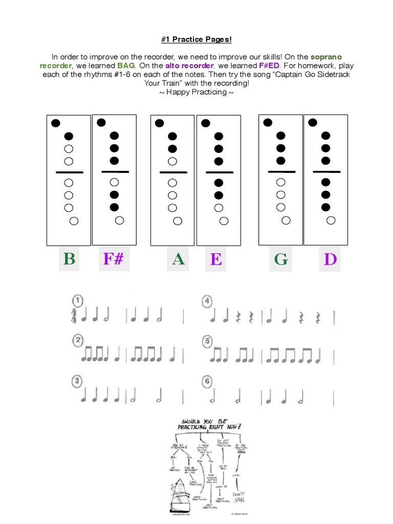 Recorder Practice: BAG & F#ED Skills | PDF