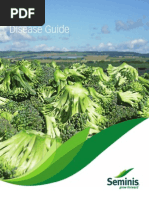 Building A Check Log Terrace | PDF | Soil | Botany