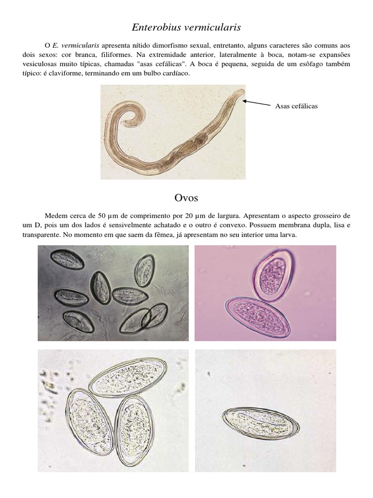 Enterobius Vermiculares | PDF