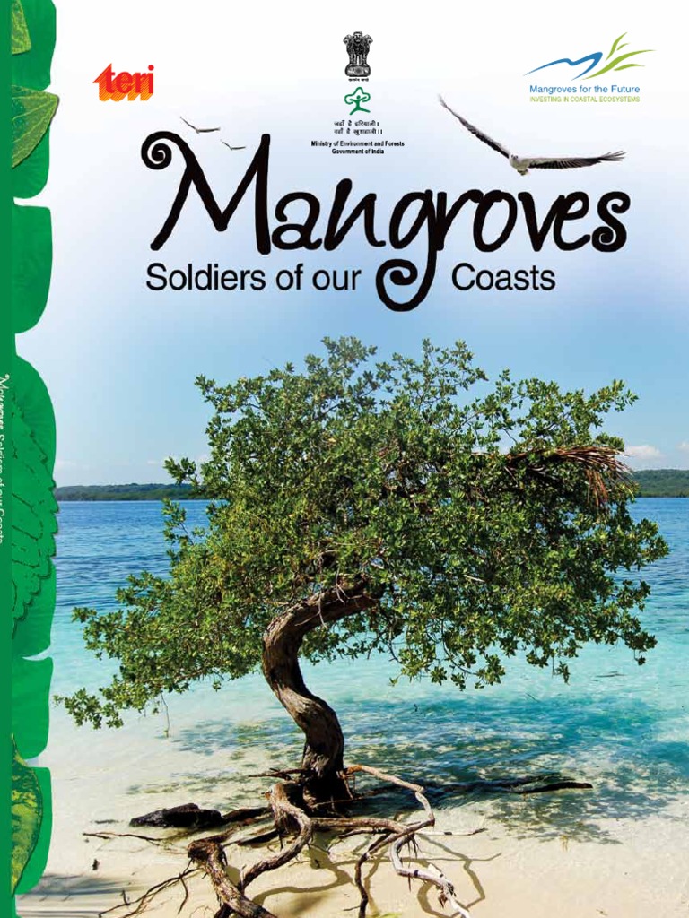 Mangroves | PDF