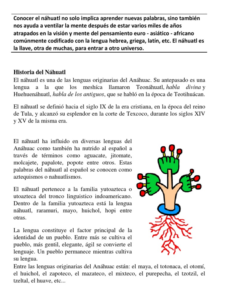 Conocer El Náhuatl No Solo Implica Aprender Nuevas Palabras PDF ...