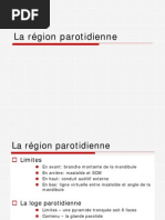 Anatomie de La Loge Parotidienne | PDF | Anatomie humaine | Tête et cou ...