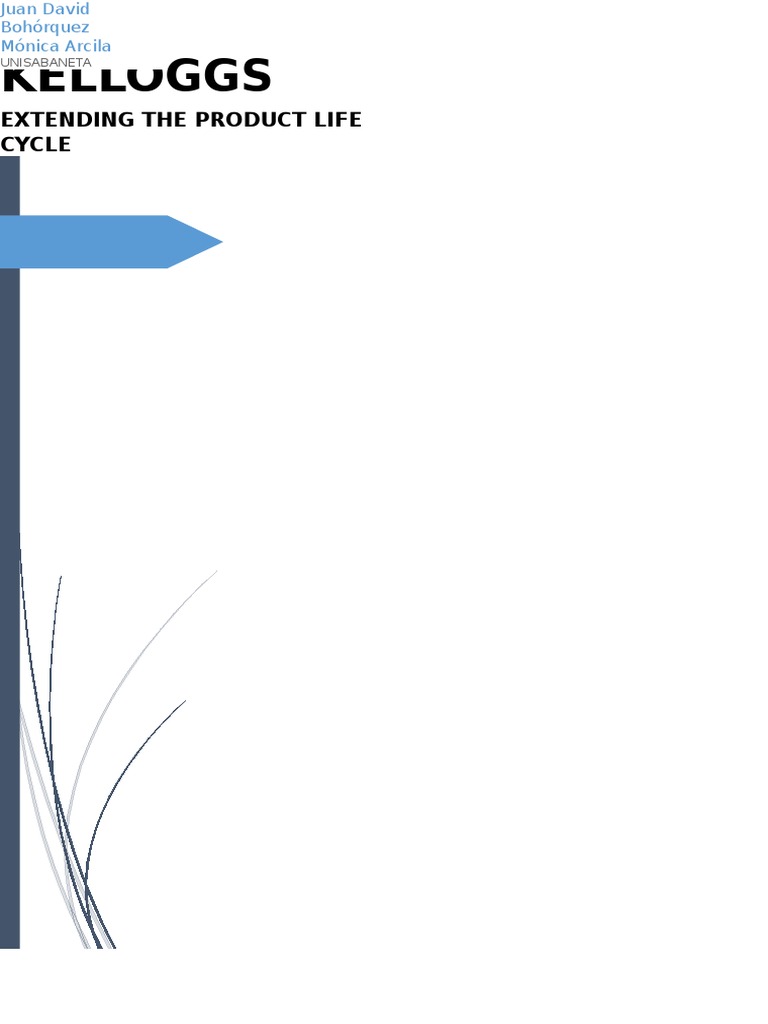 CASE Kelloggs | PDF | Microeconomics | Economics
