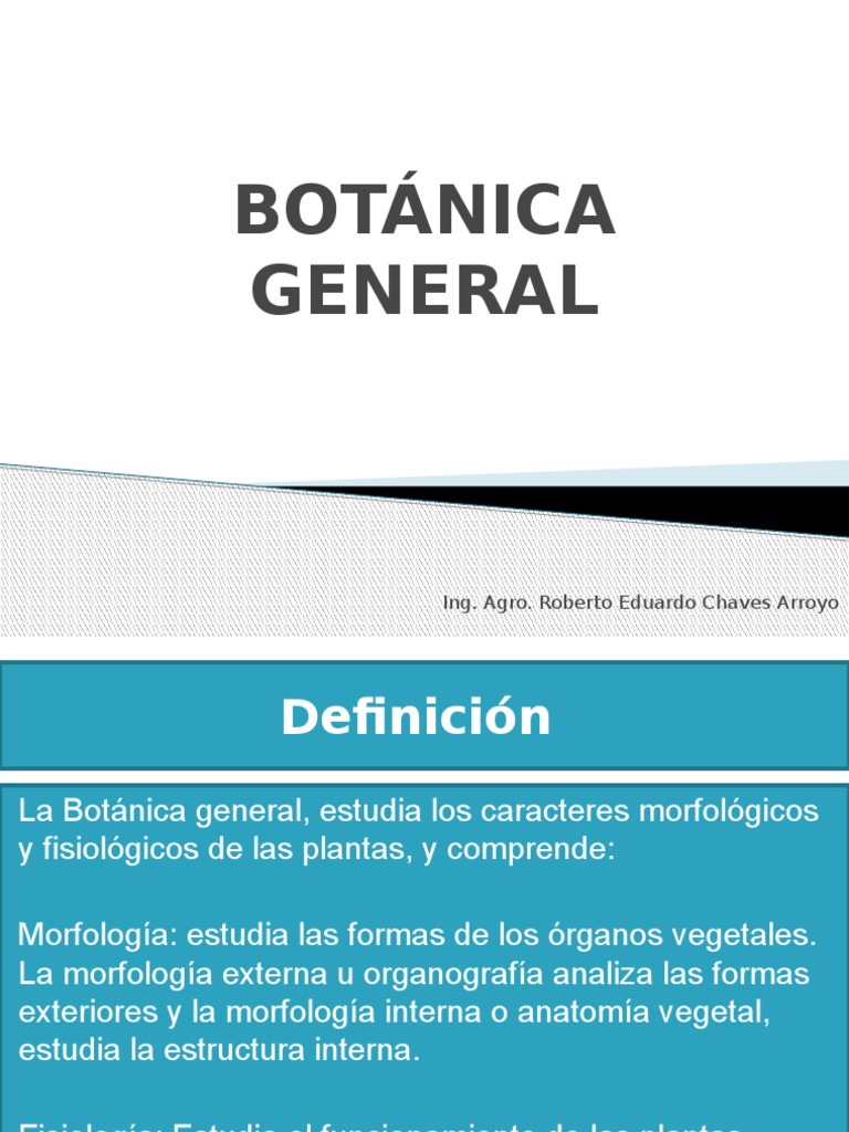 Fundamentos de Botánica General | PDF | Raíz | Botánica