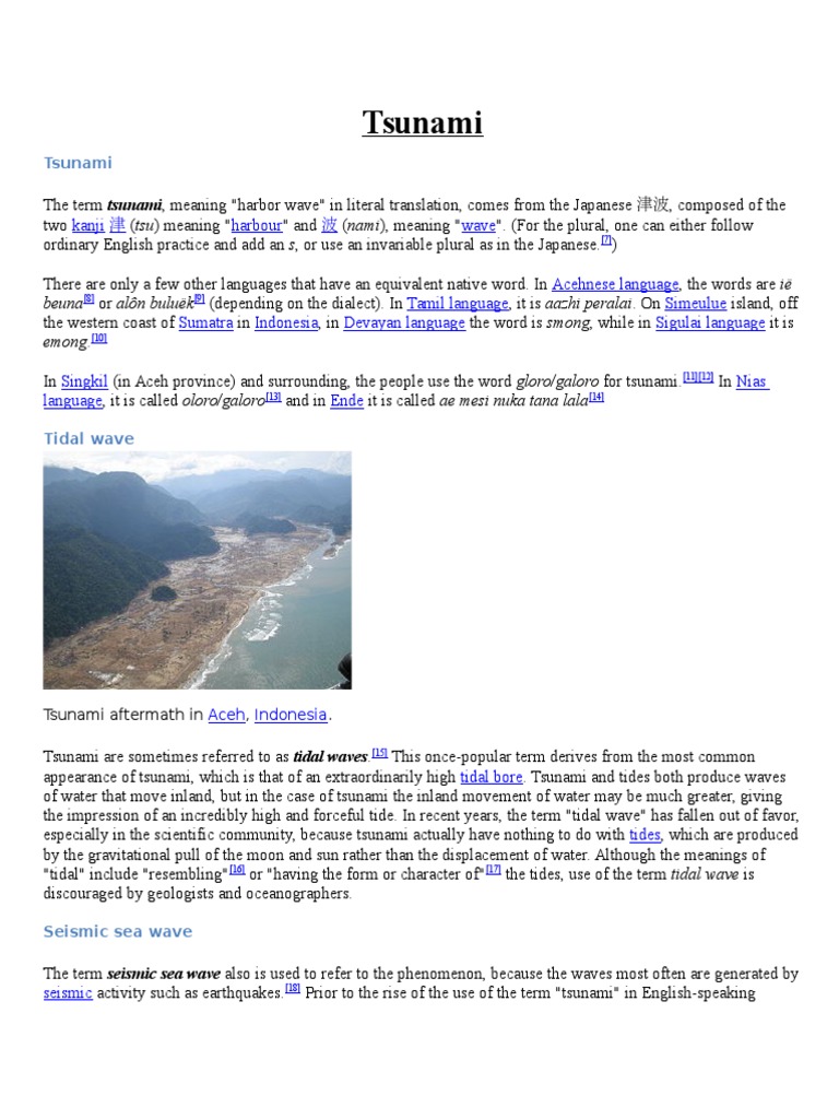 Tsunami: kanji 津 harbour 波 wave | Download Free PDF | Tsunami | Earthquakes
