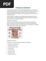 Tanner Stages of Puberty Development | PDF | Puberty | Human Reproduction