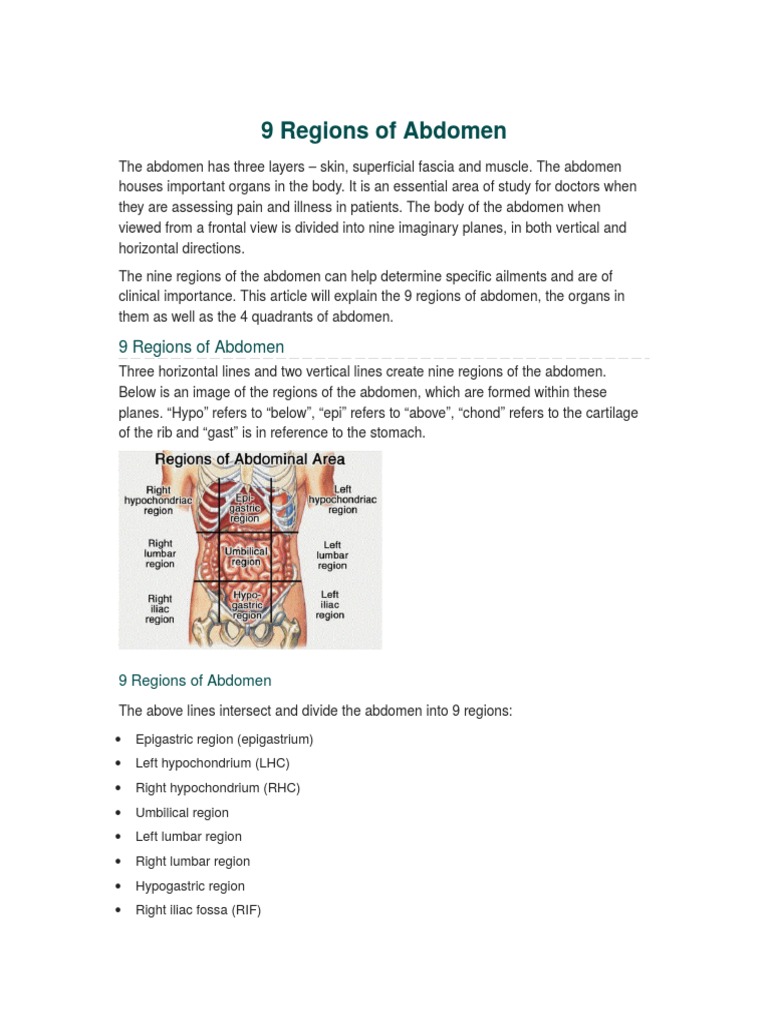 9 Regions Of The Body