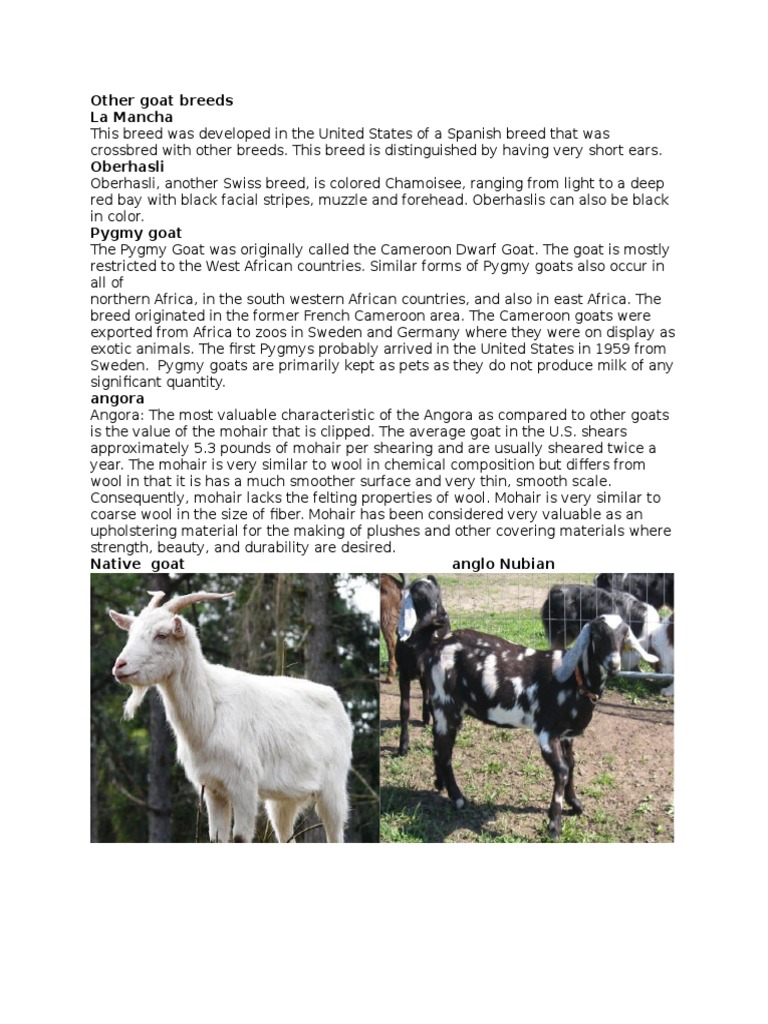 An Informative Guide to Common External and Internal Parasites Found in ...