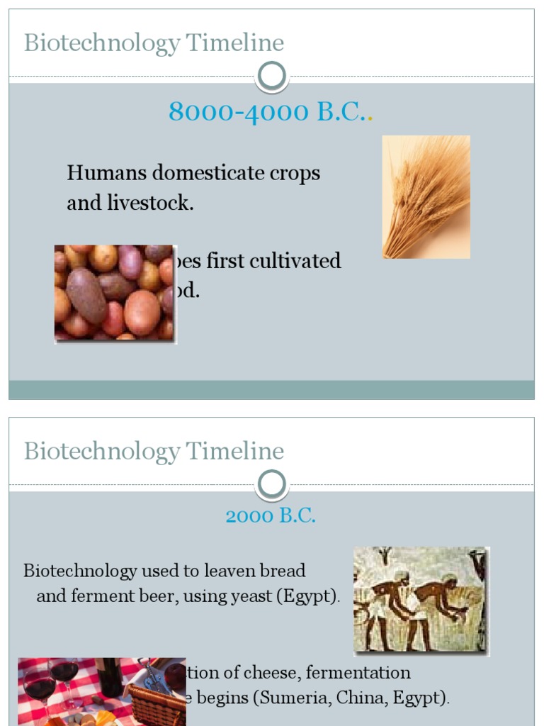 Biotechnology Timeline: Humans Domesticate Crops and Livestock ...