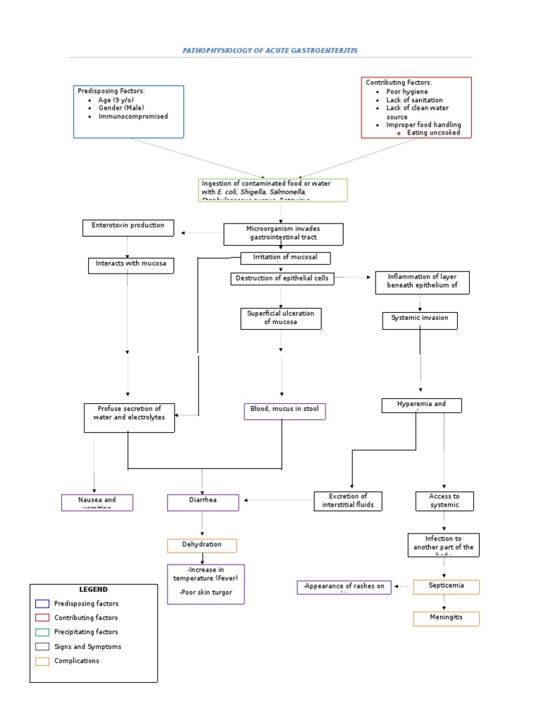 Pathophysiology of Acute Gastroenteritis