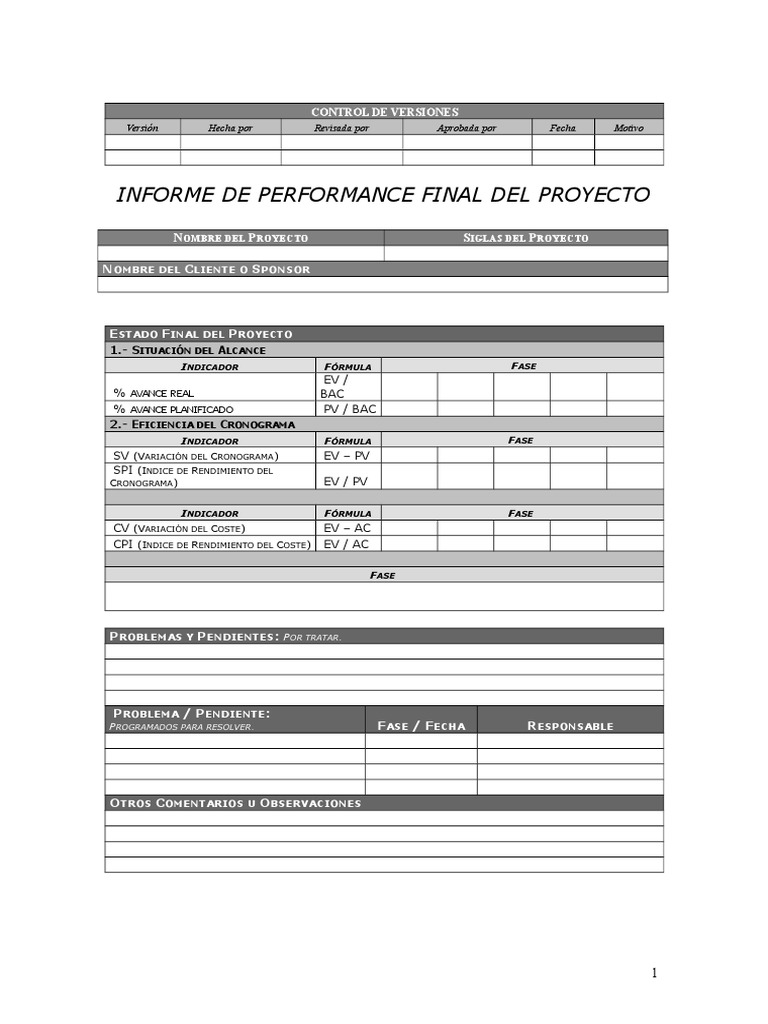 Form9-Informe de Performance Final Del Proyecto | PDF