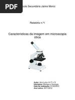 Constituição e Funcionamento Do Microscópio Óptico Composto (MOC) | PDF ...