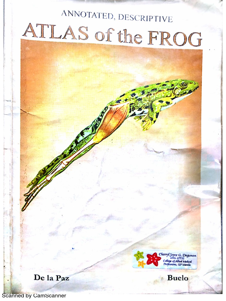 Atlas of The Frog Part1 (p.1-47) PDF | PDF