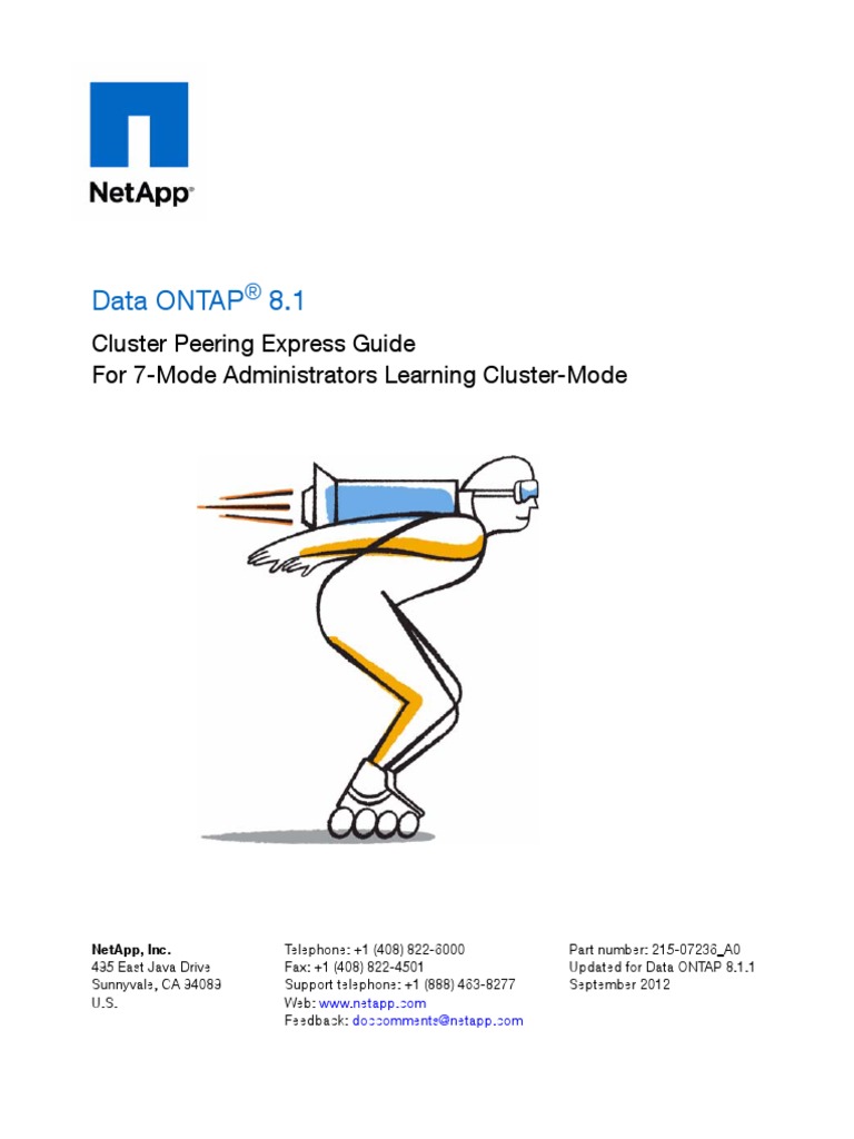 Data ONTAP 81 Cluster Peering Express Guide For | PDF | Node (Networking) | Computer Network