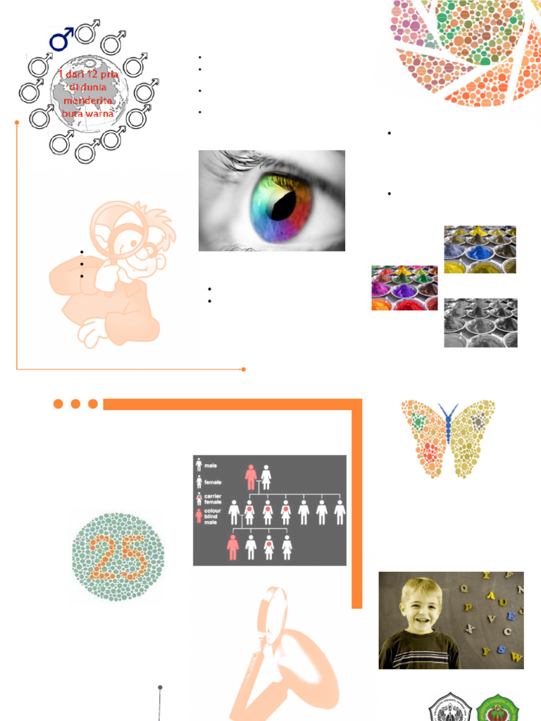 Leaflet Buta Warna | PDF