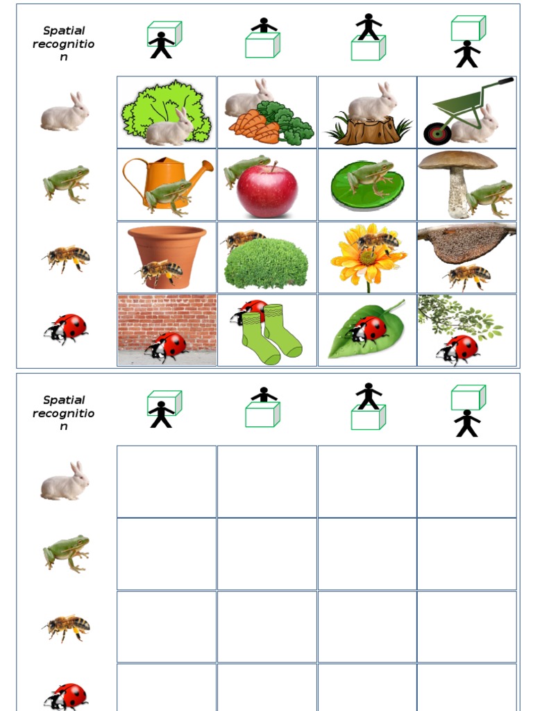 Spatial Recognition Puzzle - Share