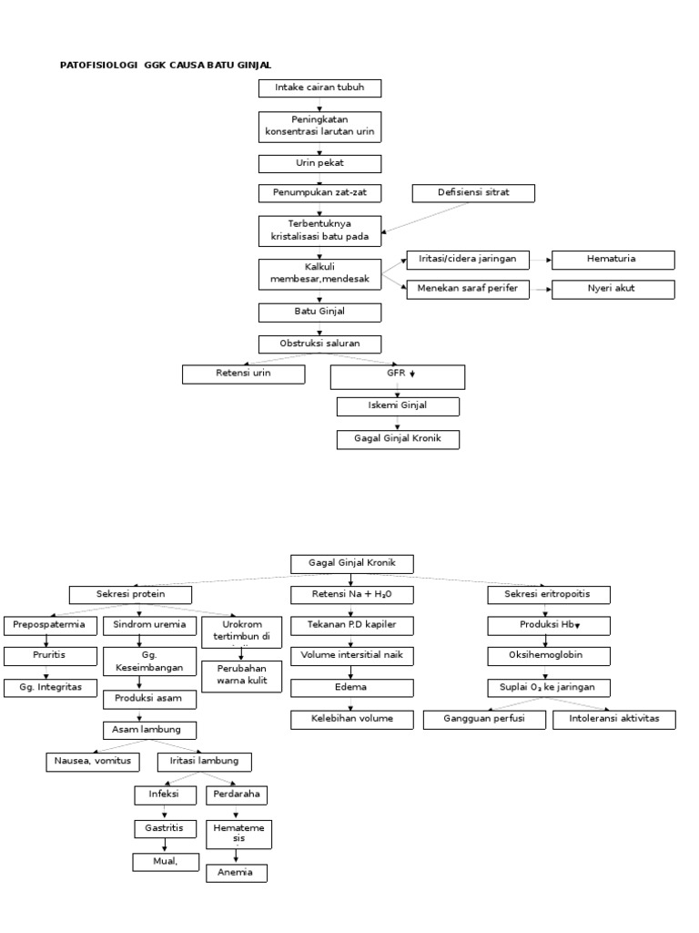 Pathway GGK Causa Batu Ginjal | PDF