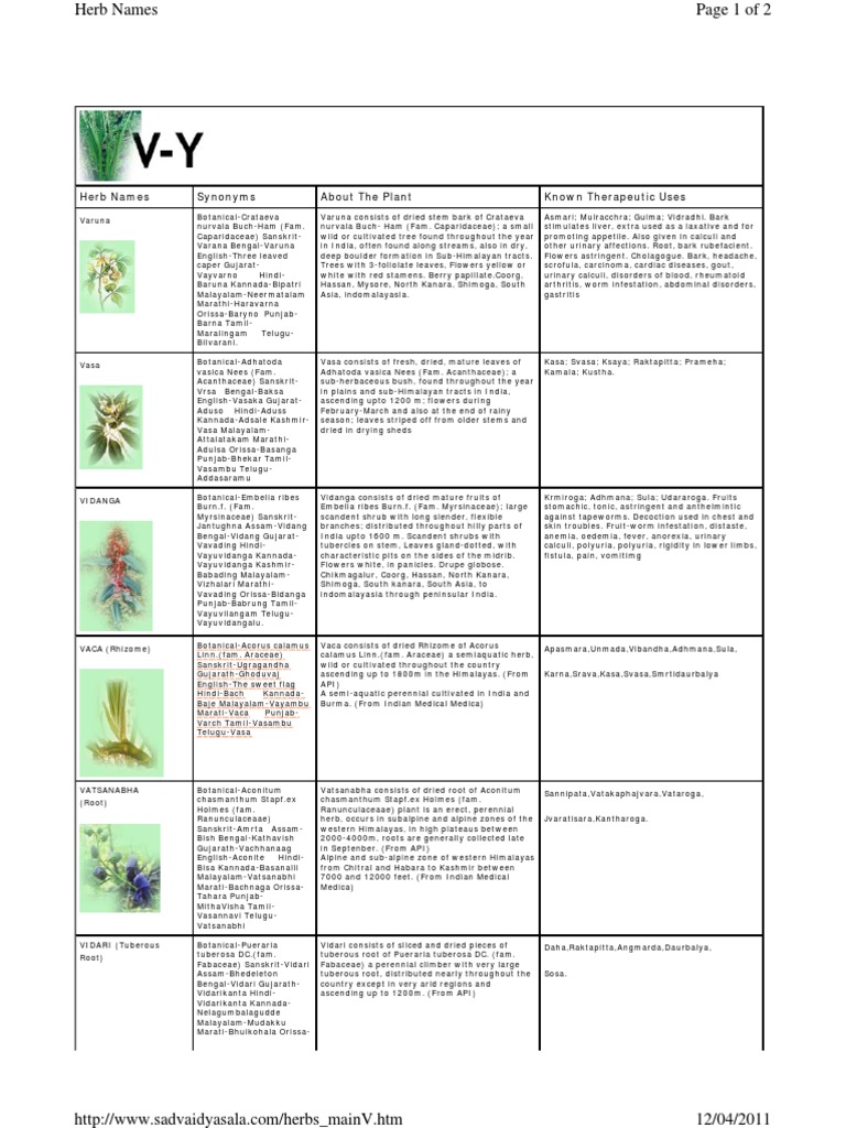 Vasa | PDF | Plants | Horticulture And Gardening