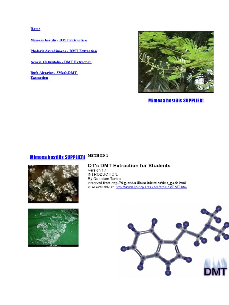 DMT Extraction | PDF | Psilocybin