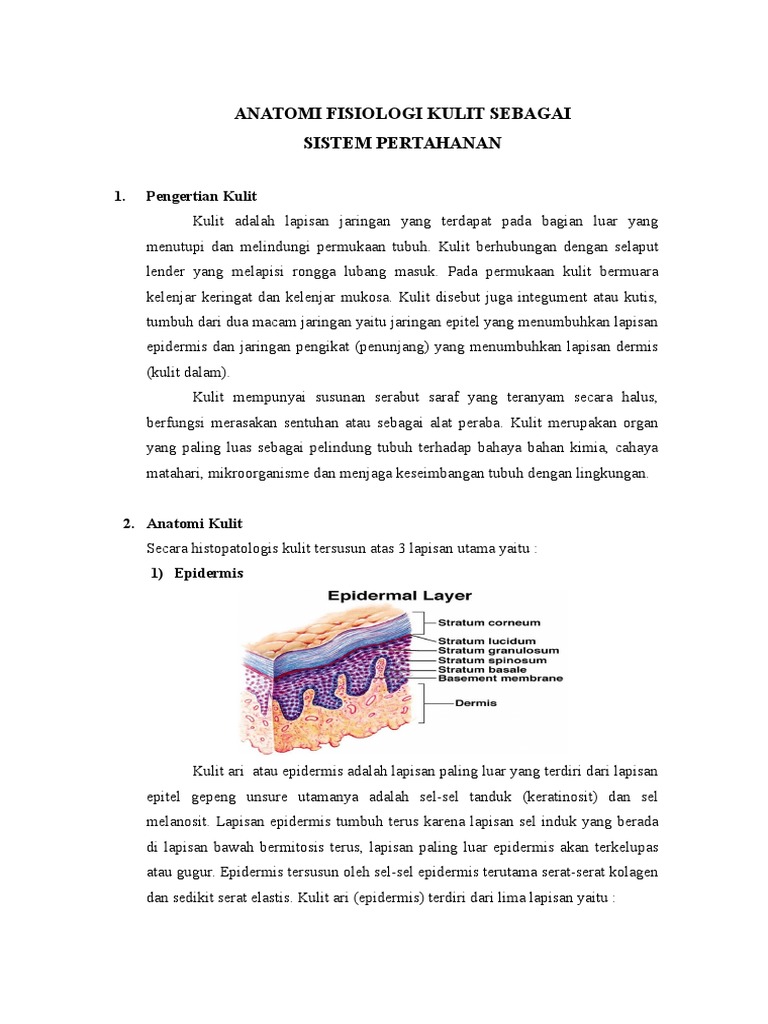 Anatomi Fisiologi Kulit | PDF