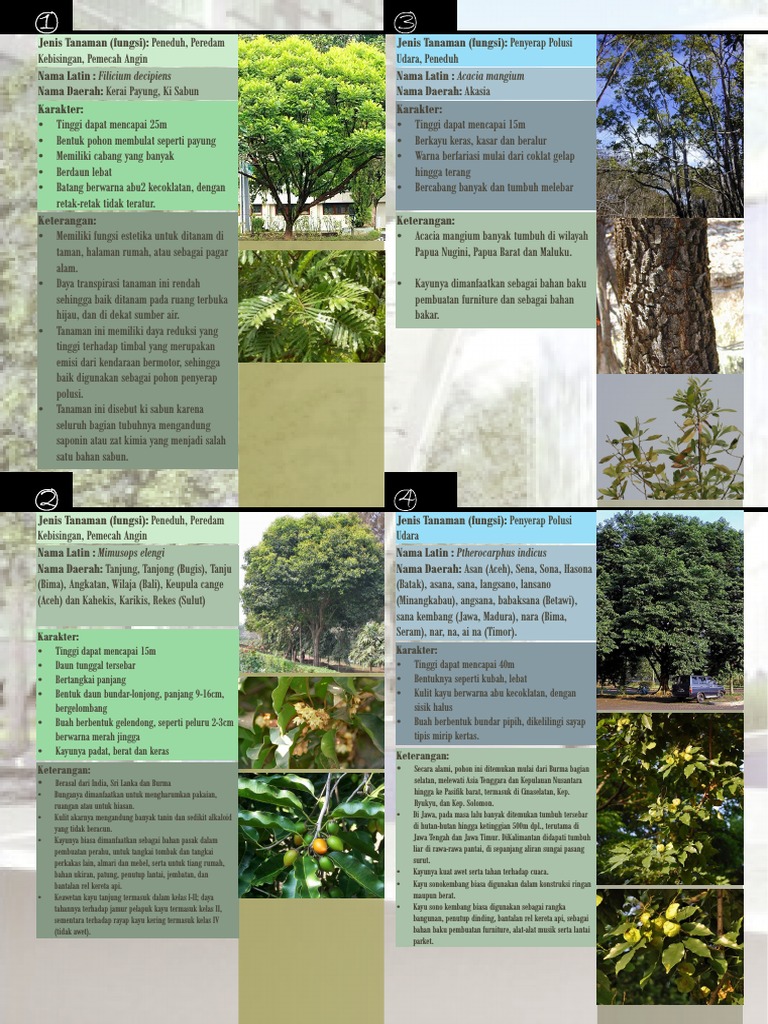 Jenis Vegetasi dan Fungsinya di Indonesia | PDF