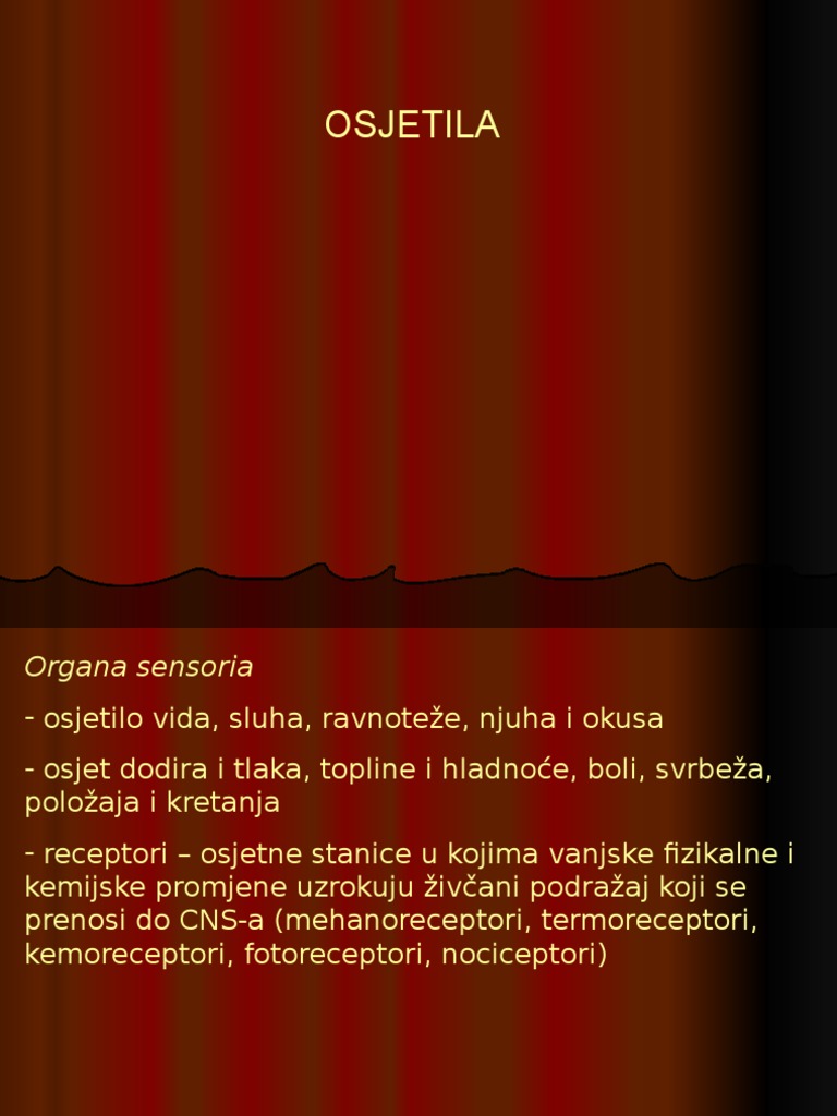 Osjetila | PDF