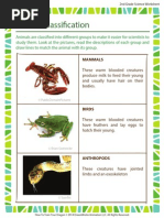 Animal Classification Sort | PDF