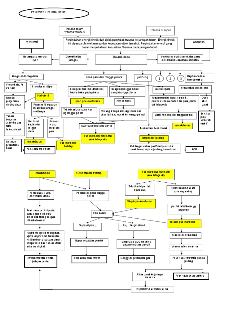 PATHWAY TRAUMA DADA.doc
