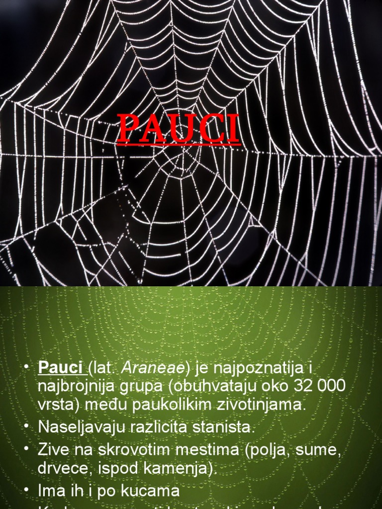 PAUCI | PDF