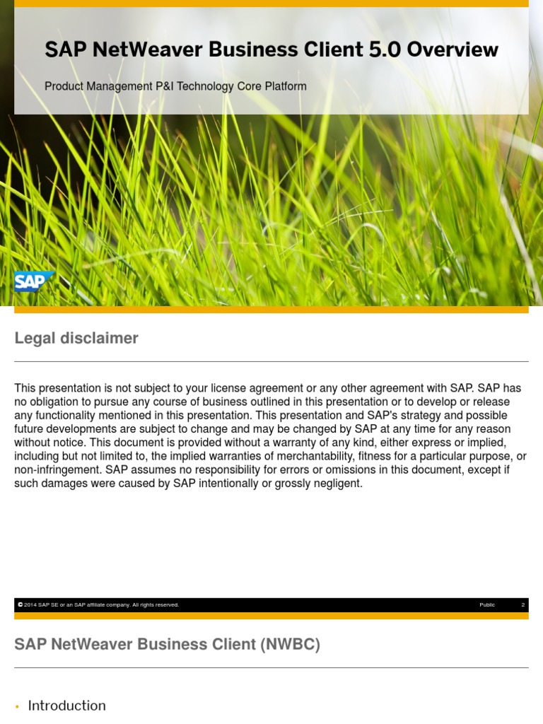 SAP NetWeaver Business Client 5.0 Overview | PDF | Sap Se | Desktop ...