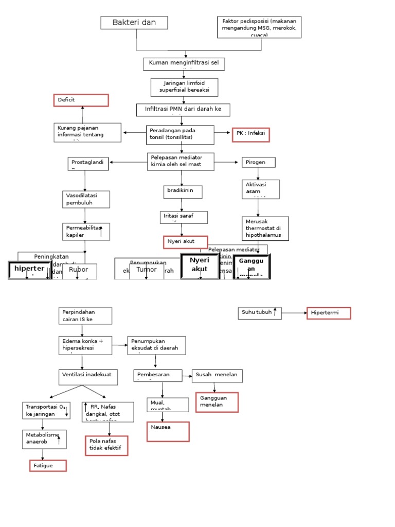 Pathway Tonsilitis | PDF