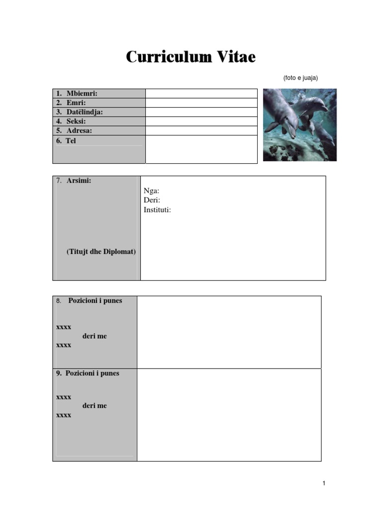Curriculum Vitae Shqip | PDF