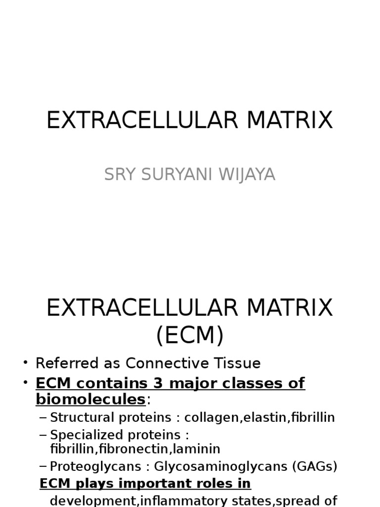 An In-Depth Look at the Structure and Functions of the Extracellular ...