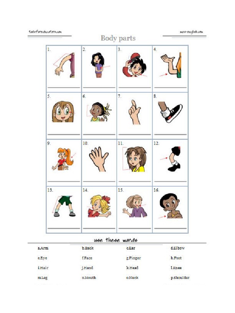 Fill in The Blanks-Body Parts | PDF