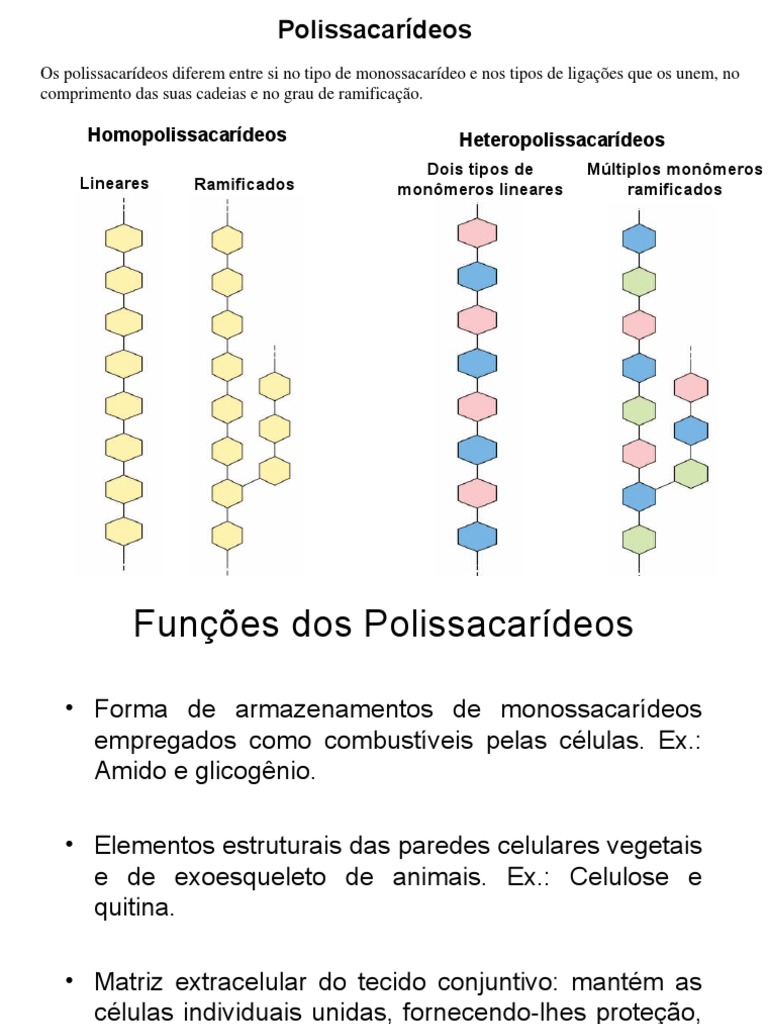 Polissacarídeos | PDF | Glicogênio | Matriz extracelular