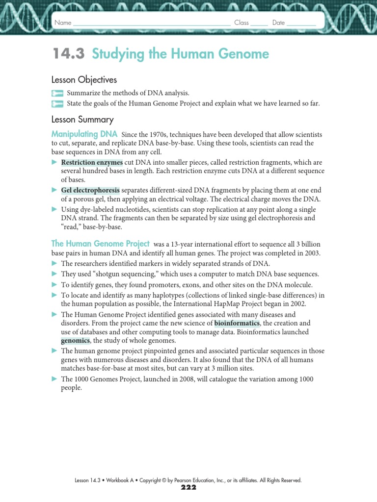 CH 14.3 Studying The Human Genome | PDF | Human Genome | Dna