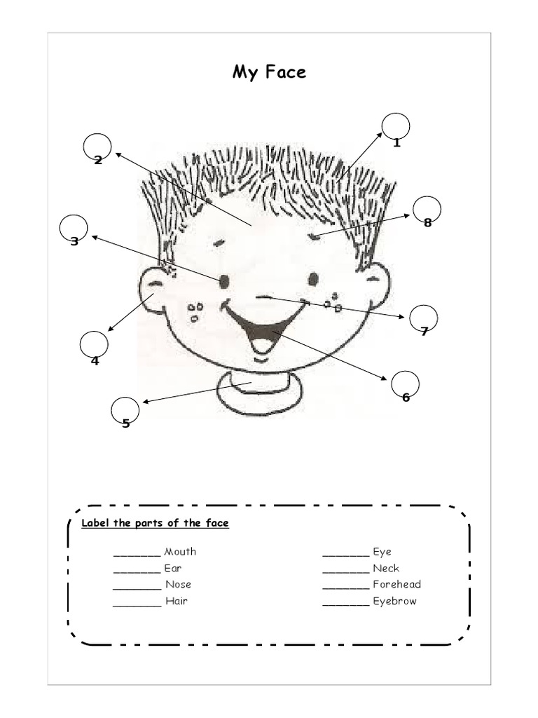 Labeling Parts of the Face Guide | PDF | Business | Finance & Money ...