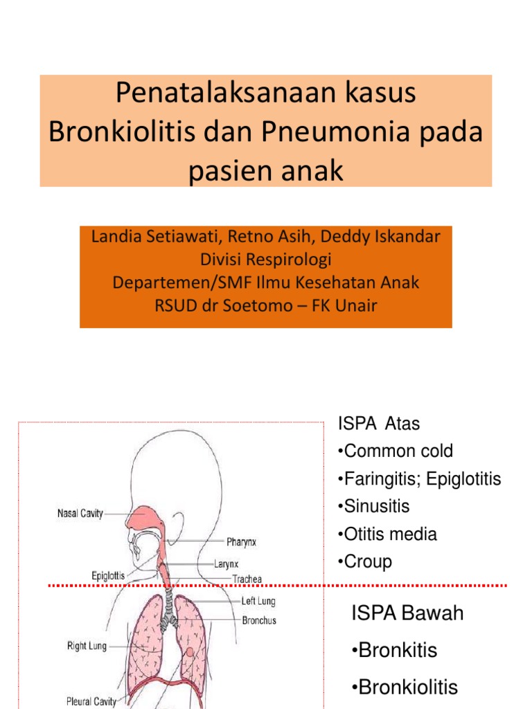 1.penatalaksanaan Kasus Bronkiolitis Dan Pneumonia Pada Pasien Anak | PDF