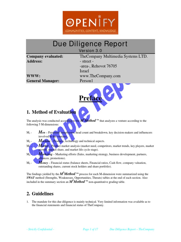 Due Diligence Report Sample | PDF