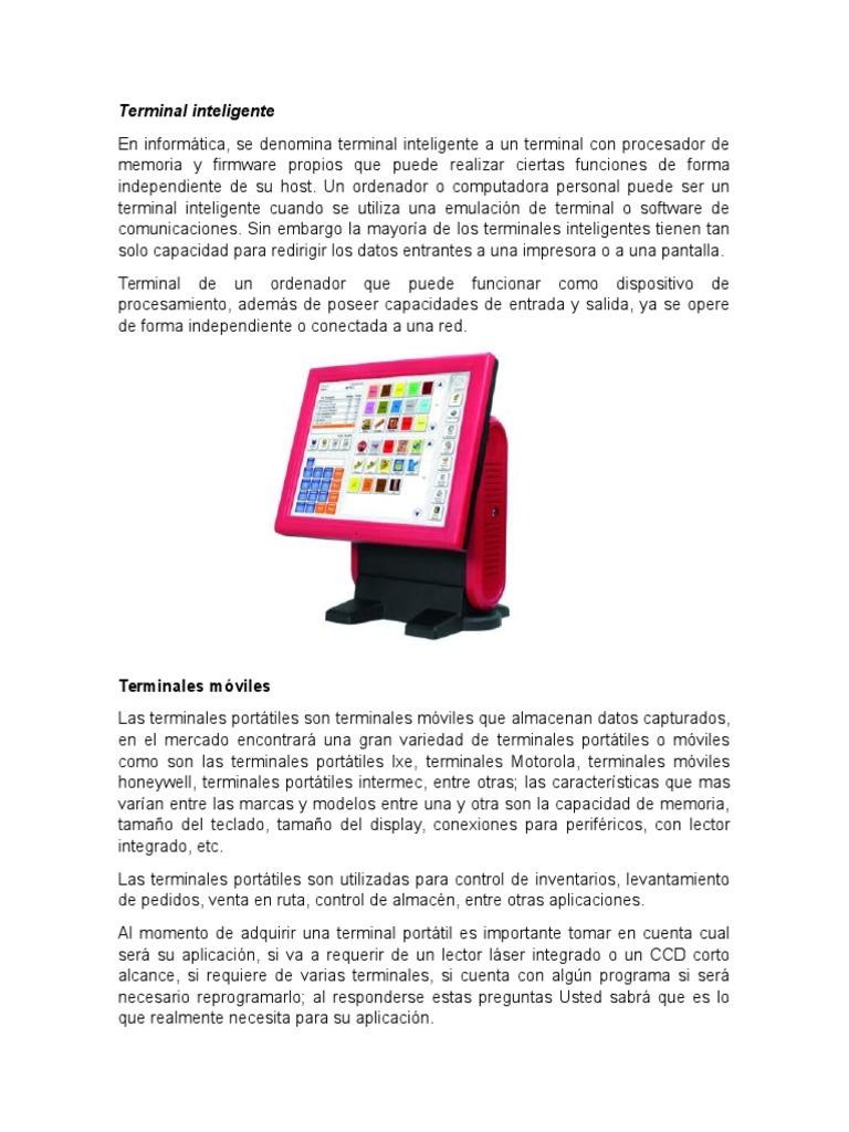 Terminales Inteligentes y Tontas en Informática | PDF | Terminal de ...