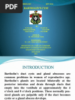 Marsupialization of Bartholin Cysts | PDF | Diseases And Disorders ...