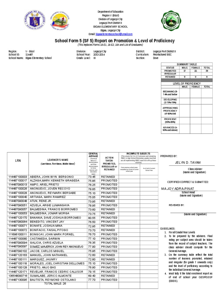 Bigaa Elementary School Promotion Report | PDF | Further Education ...