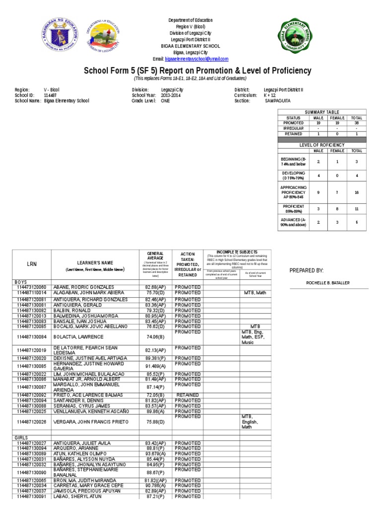 School Form 5 (SF 5) Report On Promotion & Level of Proficiency | PDF ...